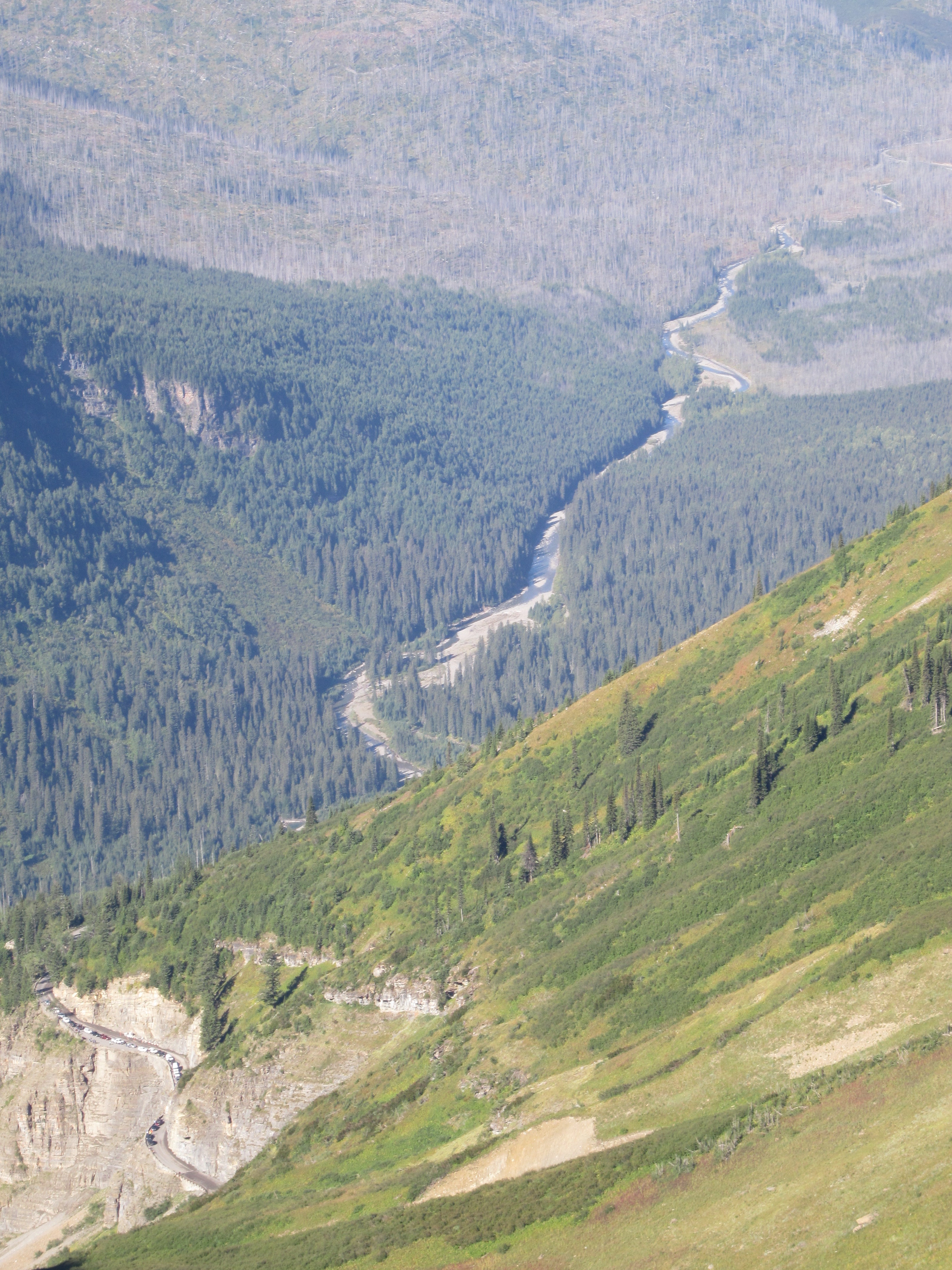 Proud to support Grow Ahead and their Women-led Reforestation in Peru ...